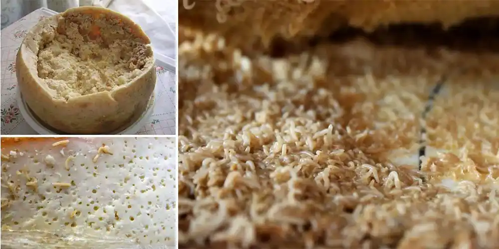 Casu Marzu: Το πιο επικίνδυνο τυρί στον κόσμο - inFOOD